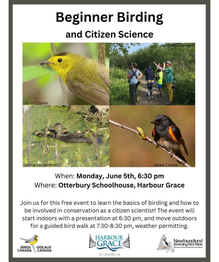 Intro to Birding & Citizen Science with Birds Canada - Harbour Grace